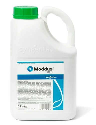 Moddus 250 EC 5l Regulator Wzrostu Zbóż ROLMAT - Sklep Internetowy